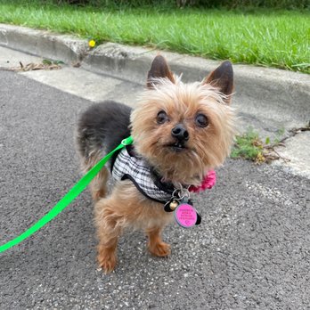 VESTAL VETERINARY HOSPITAL - Updated December 2025 - 22 Photos & 59 ...