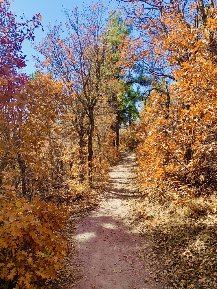 DAWSON BUTTE RANCH OPEN SPACE TRAIL - Updated November 2025 - 1923 ...