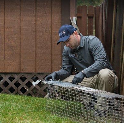 VIKING PEST CONTROL - Updated August 2025 - 50 Photos & 35 Reviews ...