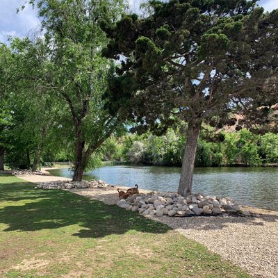 TOGETHER TREASURE VALLEY DOG ISLAND AT ANN MORRISON PARK - Updated June ...