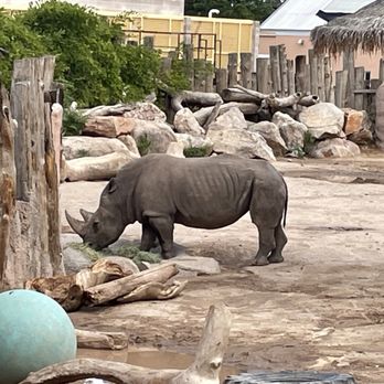 ABQ BIOPARK ZOO - 846 Photos & 249 Reviews - 903 10th St SW ...