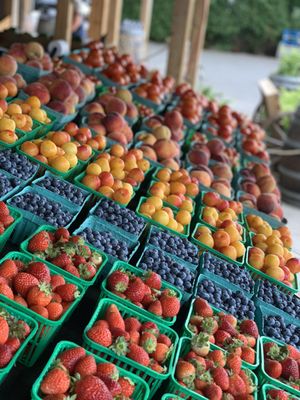 WILLOW TREE MARKET - Updated August 2024 - 23 Photos - 1827 Division ...