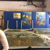 ALIOTO LAZIO FISH COMPANY - 62 Photos & 89 Reviews - 440 Jefferson St ...