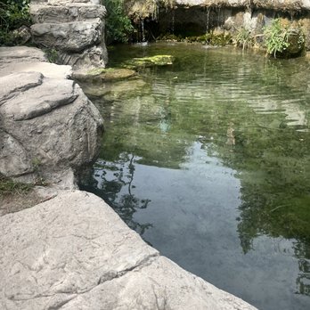 CARLITO SPRINGS - Updated December 2025 - 134 Photos & 29 Reviews - 82 ...