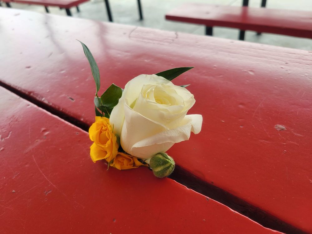 Tuxies Juices - Cheap - Mexican - Updated June 2025 - 308 Photos - 359 ...