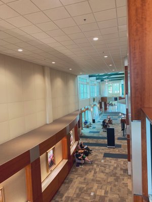 LARGO PUBLIC LIBRARY - 87 Photos & 31 Reviews - 120 Central Park Dr ...