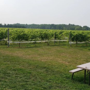 DANCING DRAGONFLY WINERY - Updated December 2025 - 109 Photos & 111 ...