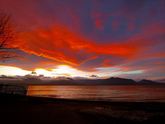 SCENIC BEACH STATE PARK - 72 Photos & 28 Reviews - 9565 Scenic Beach Rd ...