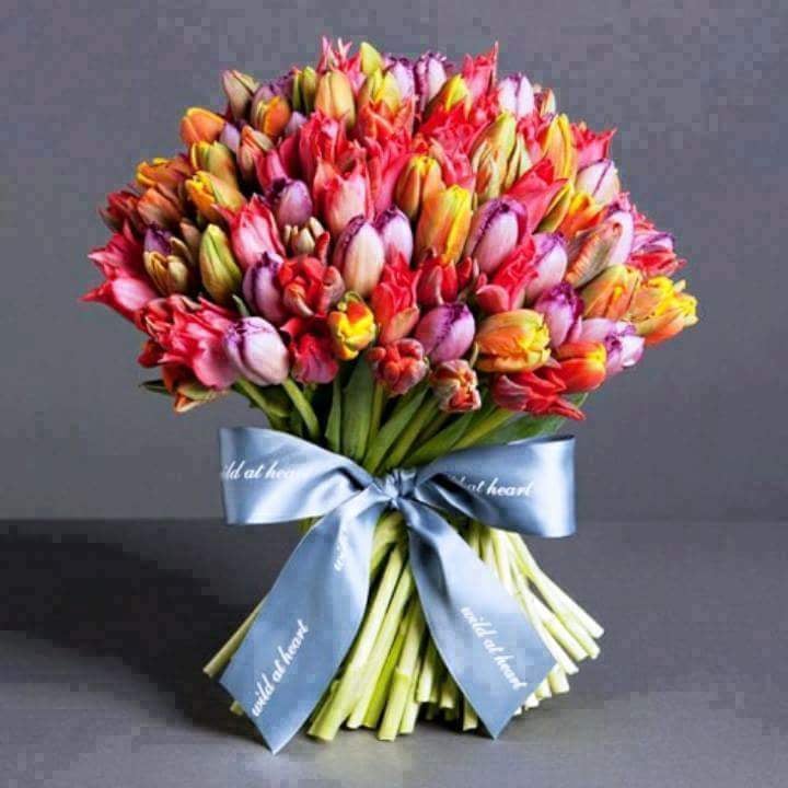 SUNIL H PATEL , MD - Updated October 2025 - 12 Reviews - Tracy ...