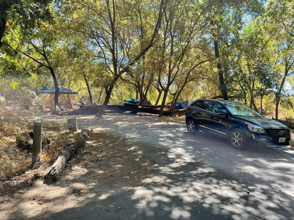 CASWELL MEMORIAL STATE PARK - 180 Photos & 112 Reviews - 28000 S Austin ...