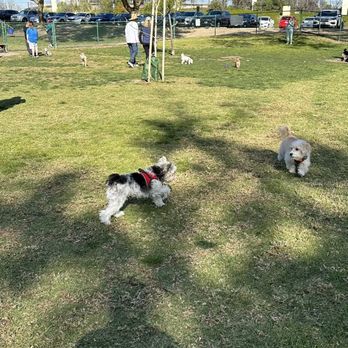 SPRINGVILLE PARK - Updated July 2025 - 92 Photos & 59 Reviews - 801 Via ...