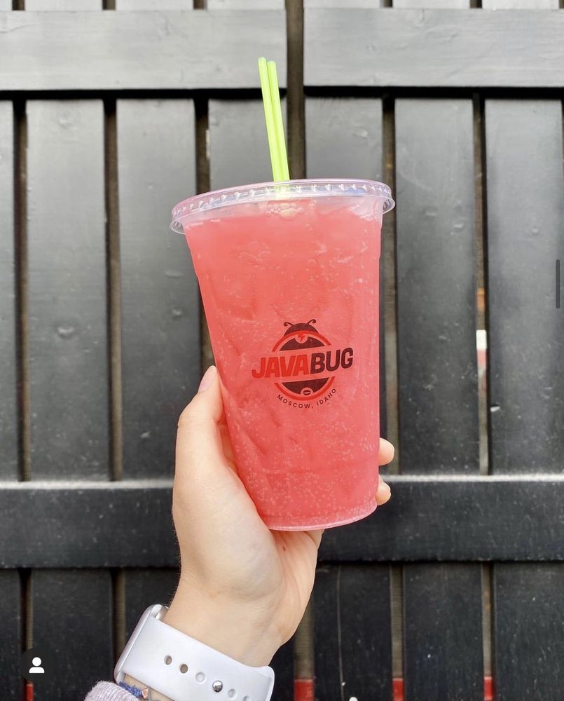 JAVA BUG - Updated August 2025 - 1320 S Mountain View Rd, Moscow, Idaho ...