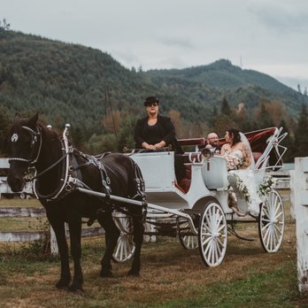 REIN FIRE RANCH - Updated January 2026 - 27 Photos & 14 Reviews - 27615 ...