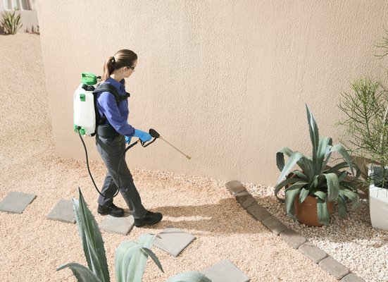 PURCOR PEST SOLUTIONS - Updated July 2025 - 10 Photos - 639 Bair Island ...