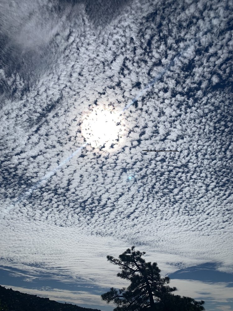 BARATTA PETER M LCSW - Updated August 2025 - 7777 Alvarado Rd, La Mesa ...