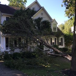 Best Tree Services Near Me - August 2024: Find Nearby Tree Services ...