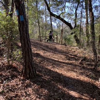 JENNINGS STATE FOREST - Updated August 2025 - 63 Photos & 10 Reviews ...