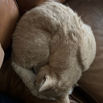 DIRK BUTCHKO PRO VET - 129 Photos & 283 Reviews - 4375 Van Buren Blvd ...