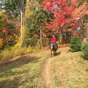 CORNERSTONE RANCH - 55 Photos & 125 Reviews - 29 Dowds Ln, Princeton ...