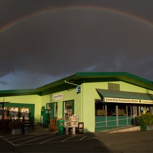 WHOLE FOODS MARKET - Updated May 2025 - 286 Photos & 307 Reviews - 390 ...