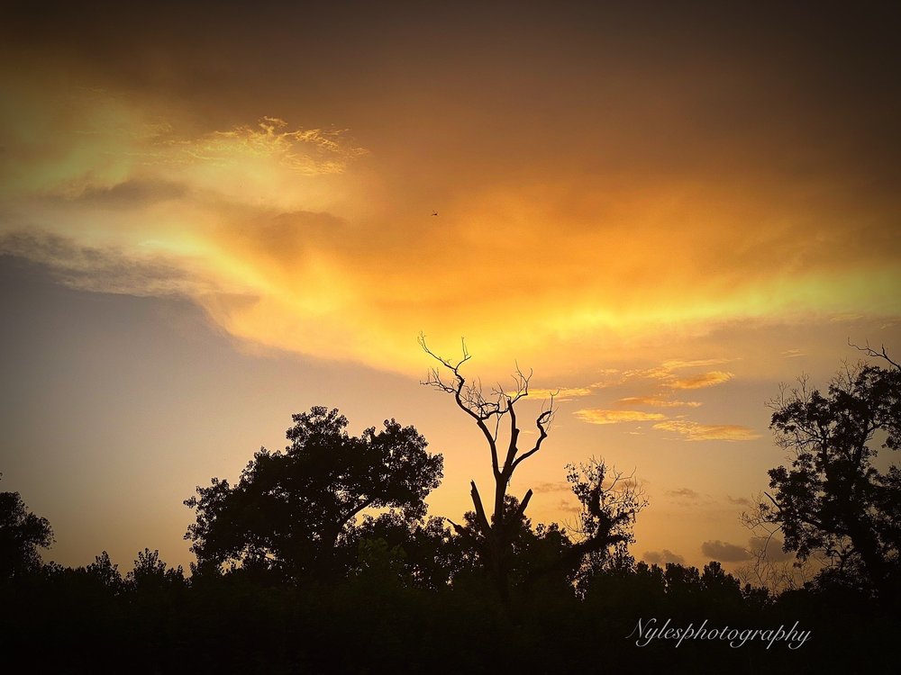 BRAZOS RIVER PARK - Updated September 2024 - 31 Photos - 18427 SW Fwy ...