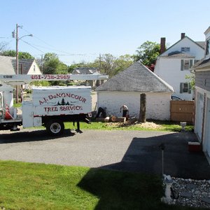 NORTH EASTERN TREE SERVICE - Updated December 2025 - 29 Photos & 104 ...