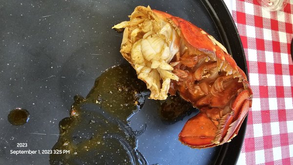 THE MIGHTY CRAB - Updated November 2025 - 63 Photos & 47 Reviews - 675 ...