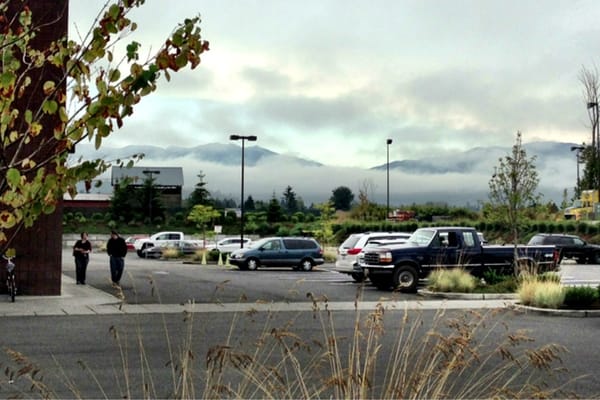 COSTCO WHOLESALE - Updated January 2026 - 25 Photos & 46 Reviews - 955 ...