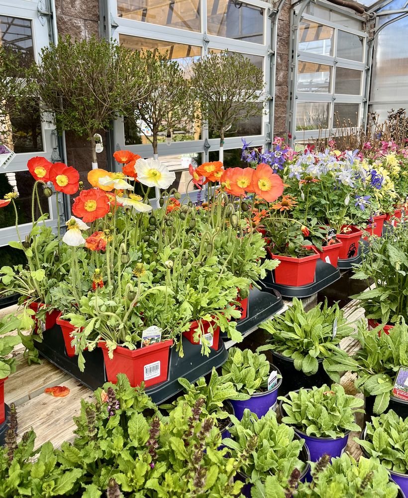 THE GARDENS - Updated June 2025 - 55 Photos & 54 Reviews - 9542 S ...