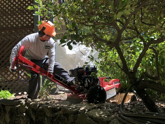 ENVIRONMENTAL TREE SERVICE - Updated October 2025 - 188 Photos & 191 ...