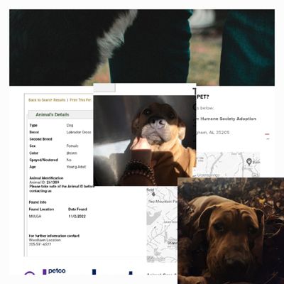 GREATER BIRMINGHAM HUMANE SOCIETY - Updated October 2025 - 50 Photos ...