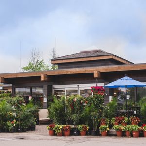 SHERIDAN NURSERIES TORONTO - Updated December 2025 - 10 Photos & 41 ...