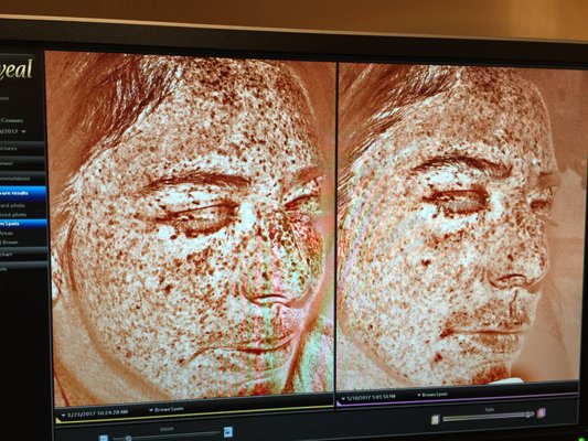 STEVEN PEARLMAN - Updated January 2026 - 72 Photos & 171 Real Reviews ...