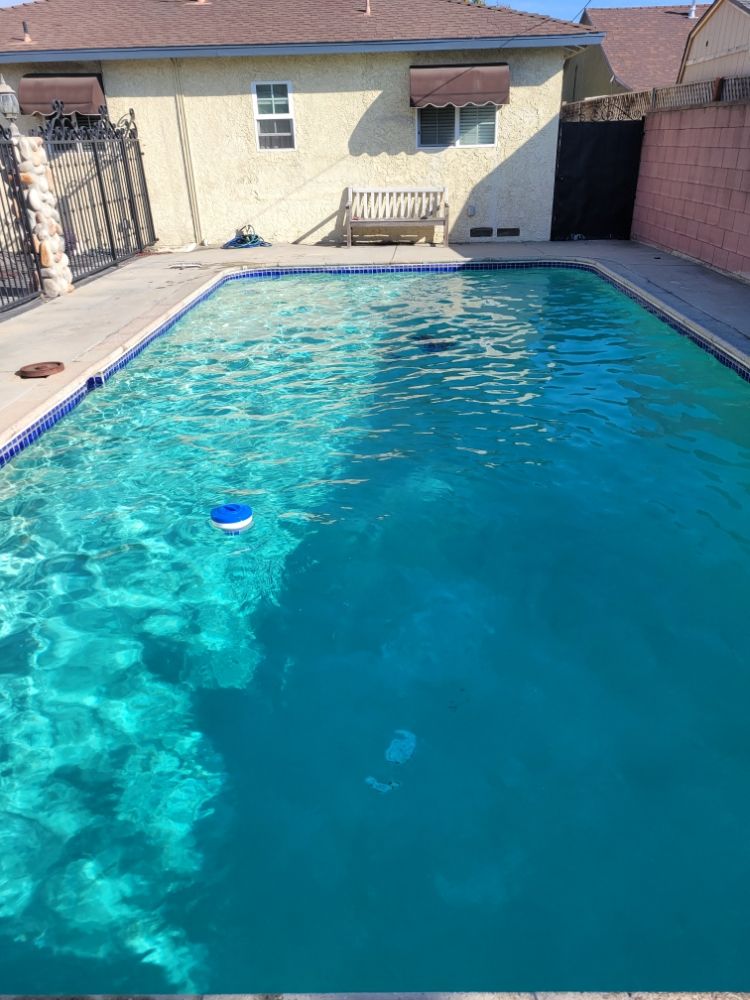 ALEJANDRO BLUE POOL SERVICE - Updated February 2025 - 10 Photos ...