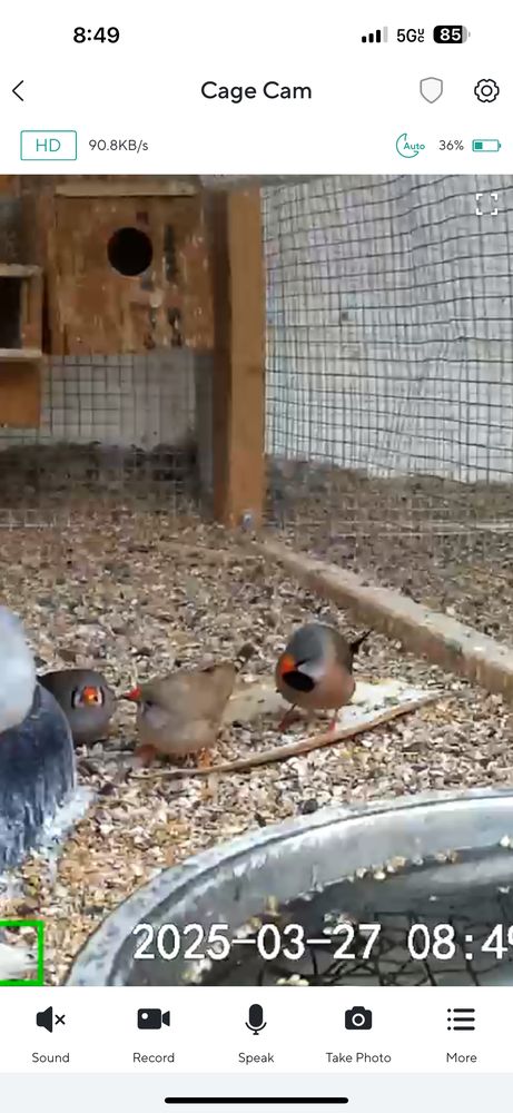 HAWTHORNE AVIARIES - Updated March 2025 - Request Information - Hawthorne, California - Pet ...