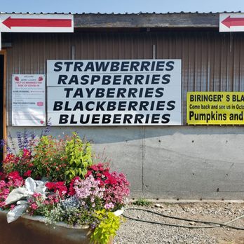 BIRINGER FARM - Updated December 2025 - 94 Photos & 43 Reviews - 21412 ...