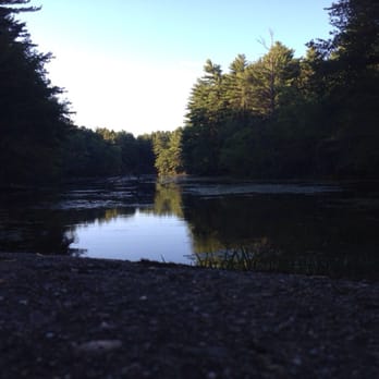 HAROLD PARKER STATE FOREST - Updated June 2024 - 67 Photos & 37 Reviews ...