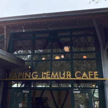 LEAPING LEMUR CAFE - Updated July 2025 - 151 Photos & 59 Reviews - 1 ...