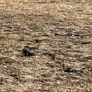 VASCO CAVES REGIONAL PRESERVE - Updated September 2024 - 20 Photos ...