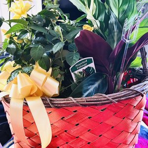 SAFEWAY - Updated July 2025 - 16 Reviews - 9255 S Broadway, Highlands ...