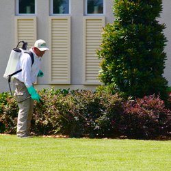 EVERGREEN LAWN & PEST CONTROL - 29 Photos & 14 Reviews - Pest Control ...