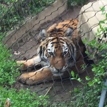 MESKER PARK ZOO & BOTANIC GARDEN - Updated April 2025 - 258 Photos & 39 Reviews - 1545 Mesker ...