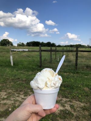 HOMELAND CREAMERY - 32 Photos & 38 Reviews - Ice Cream & Frozen Yogurt ...