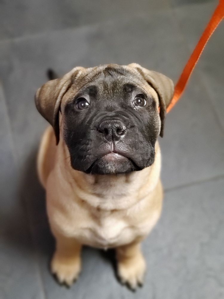 GREEK & ASSOCIATES VETERINARY HOSPITAL - Updated September 2024 - 192 ...