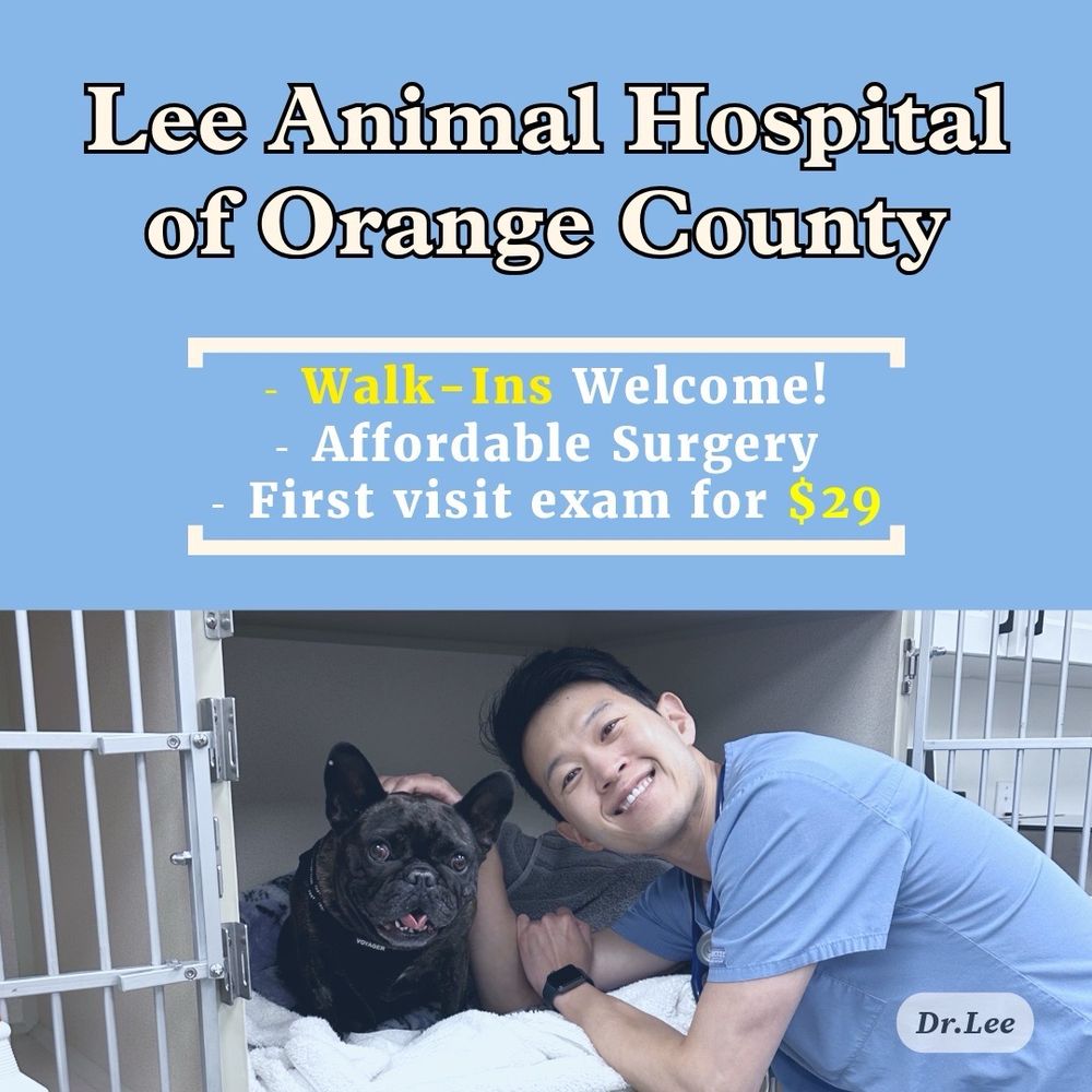 LEE ANIMAL HOSPITAL - Updated January 2026 - 108 Photos & 135 Reviews ...