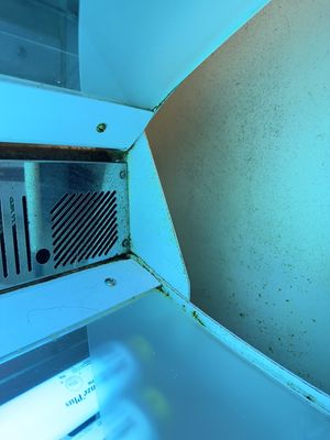 TAN DALLAS - Updated September 2025 - 36 Photos & 137 Reviews - 5400 E ...