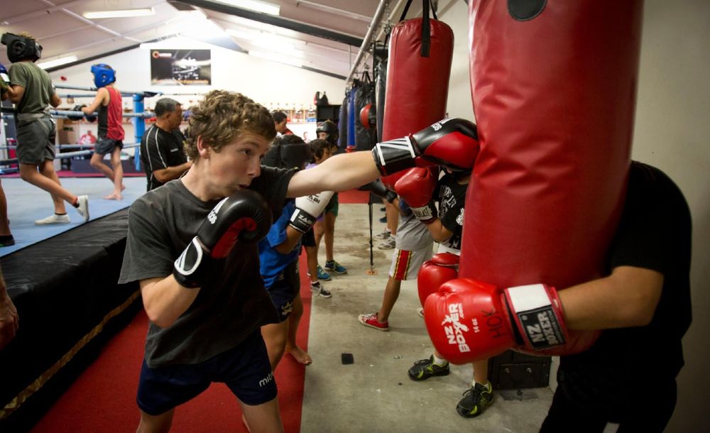 LIONS OF JUDAH BOXING ACADEMY - Updated December 2024 - 42 Photos - 2 ...