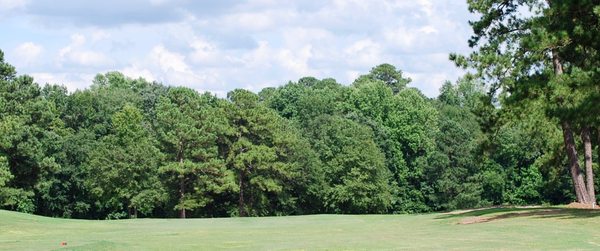 WENDELL COUNTRY CLUB - Updated December 2025 - 26 Photos & 14 Reviews ...