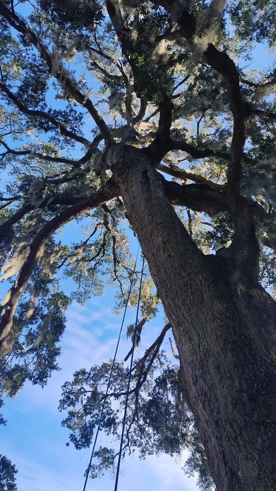 SPARTAN BROS TREES & THINGS - Updated October 2025 - Request a Quote ...