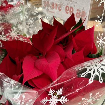 PAT’S FARMS GARDEN CENTER - Updated October 2025 - 69 Photos - 1126 ...